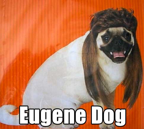 The Walking Dead Characters As Cats And Dogs » Mac's Opinion