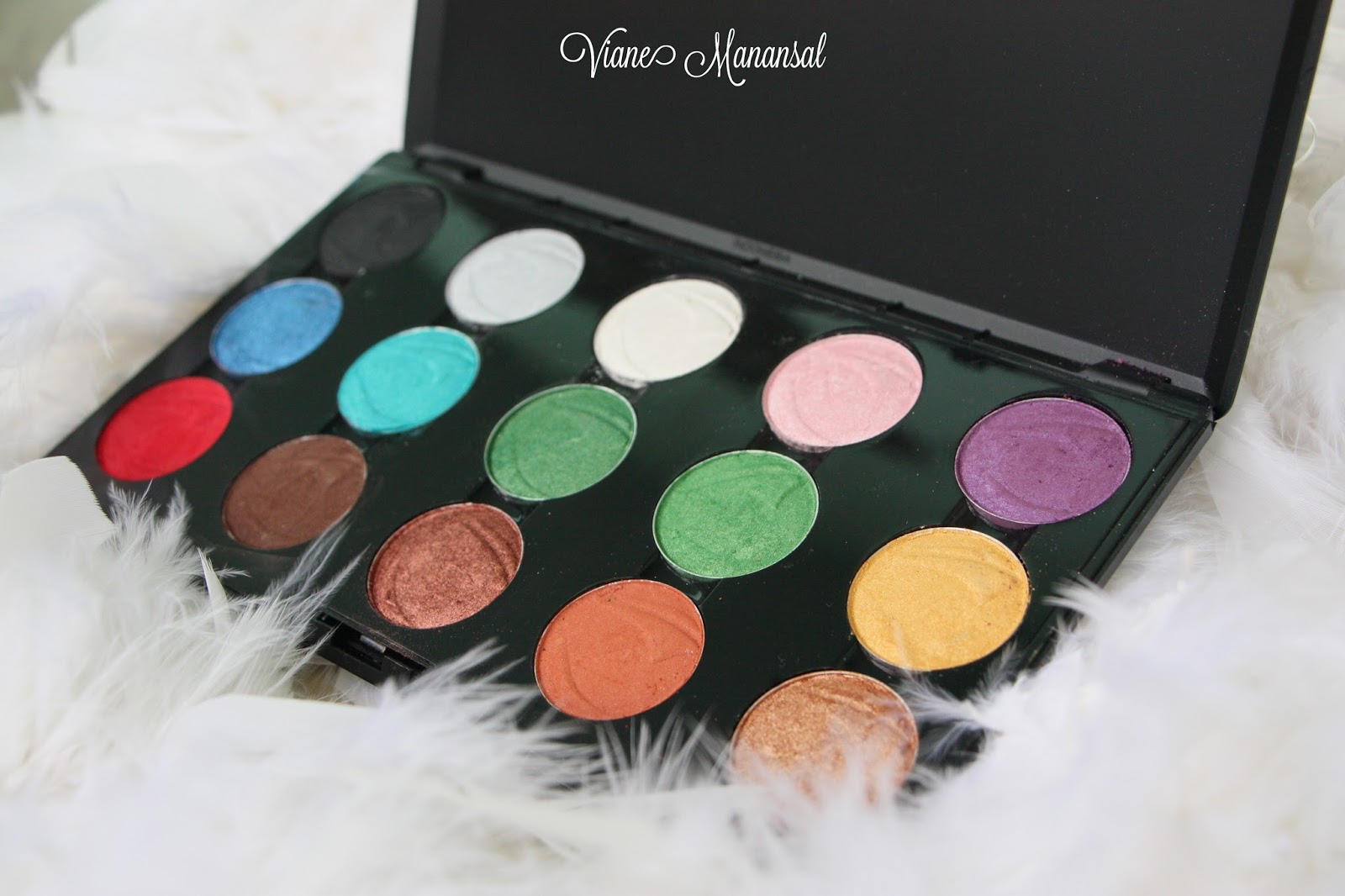 HELLOVIANE: INEZ COSMETICS PROFESSIONAL EYESHADOW PALETTE REVIEW