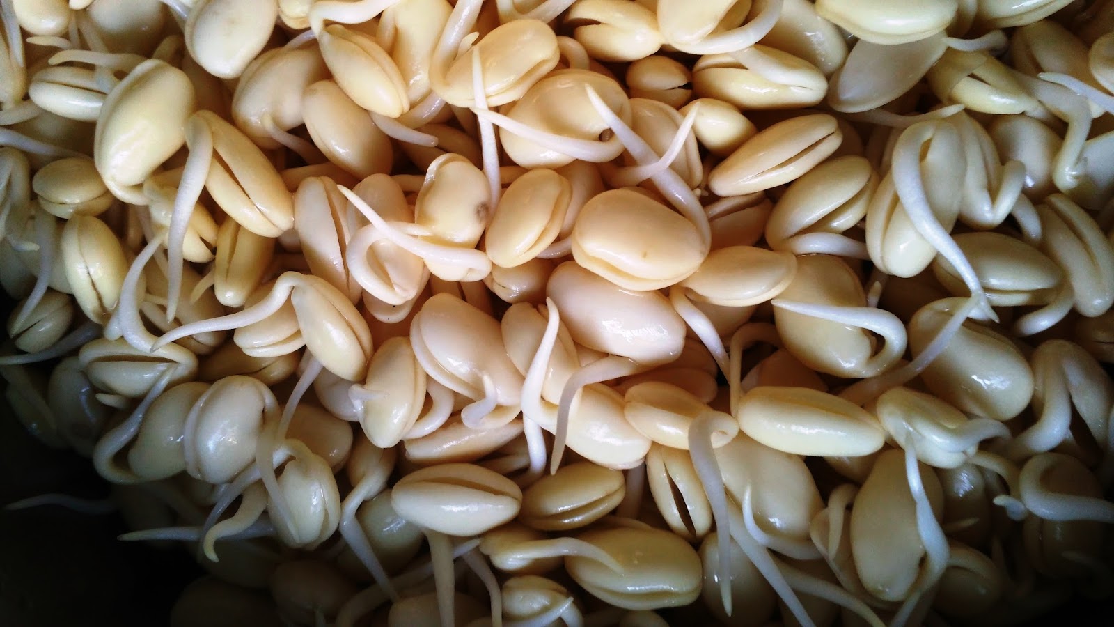 Dalimbi ( val ) usal ( birde ) - Sakas Aahaar