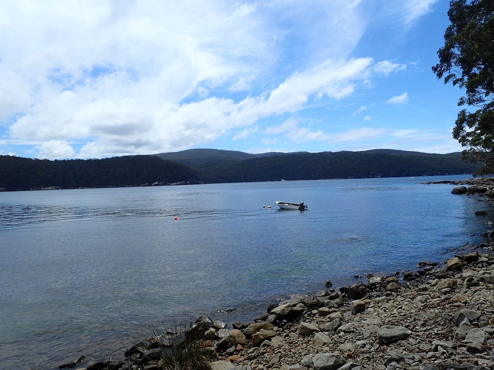 Mount Fortescue Circuit | Hiking South East Tasmania