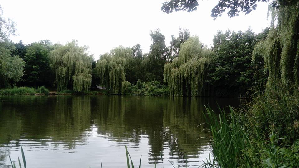 UK fishing venues: Docklow Pools (Match Lake) - Venue Review