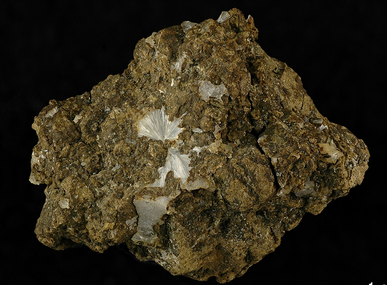 Erionite exposure and Mesothelioma Cancer - Mesothelioma