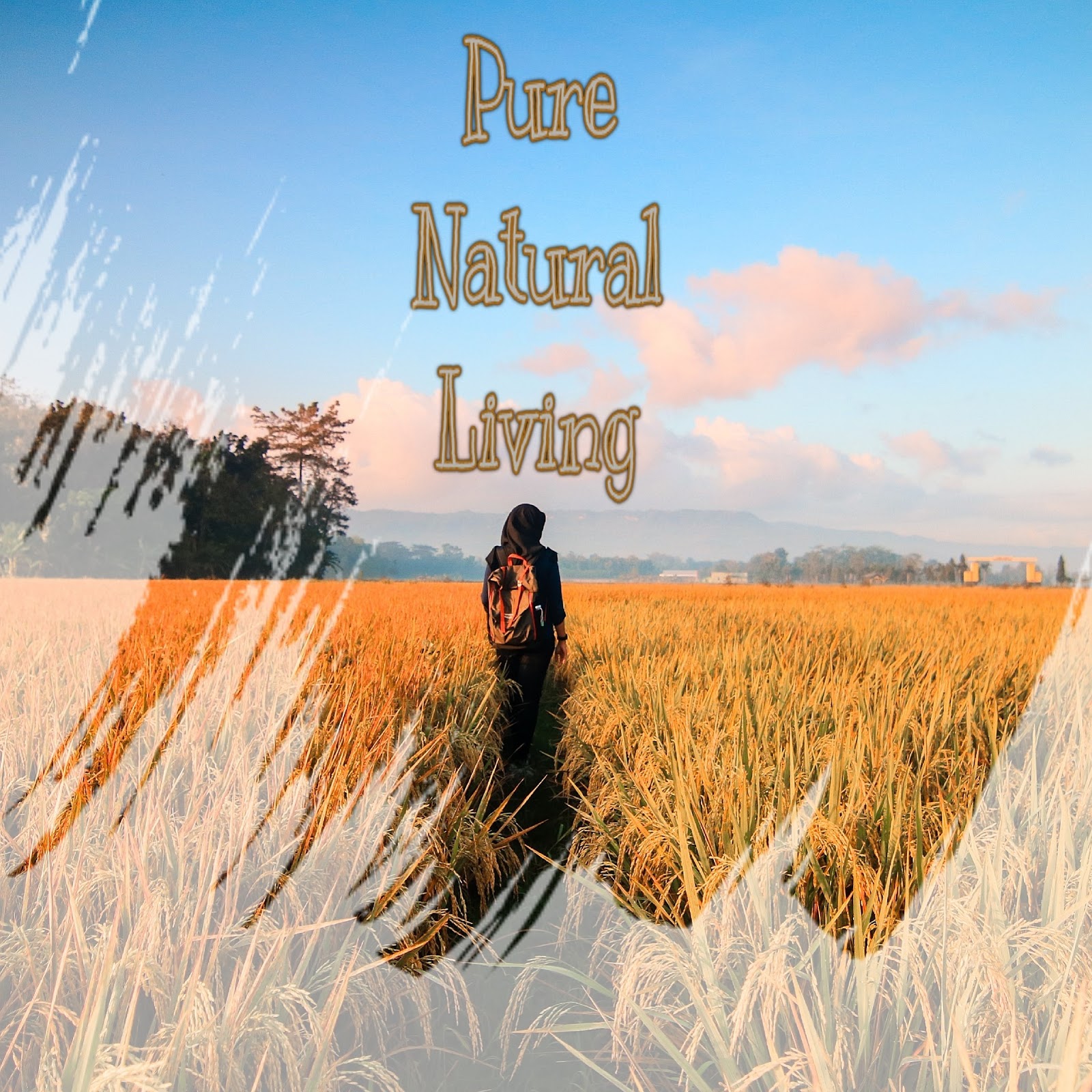 Pure Natural Living