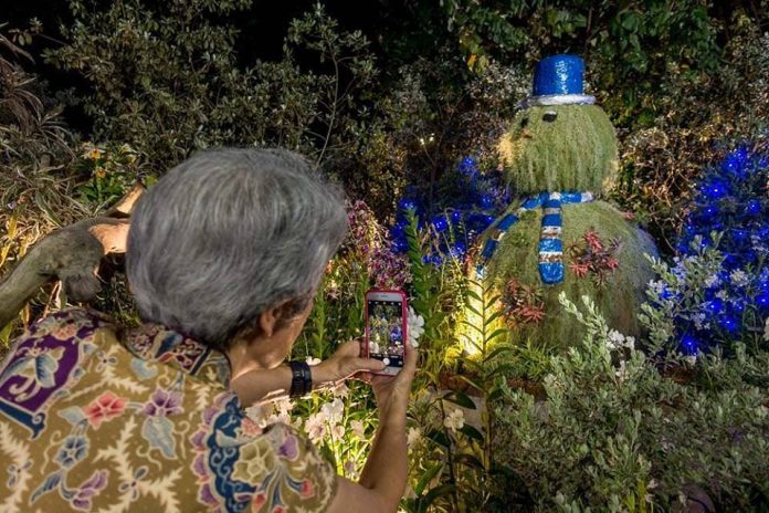 Under The Angsana Tree: Ho Ching's refreshingly chill approach to ...