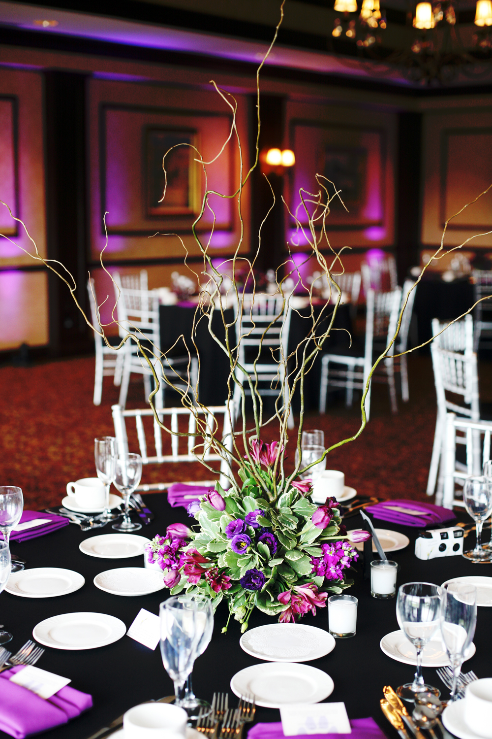 Taylor Hayden Photography