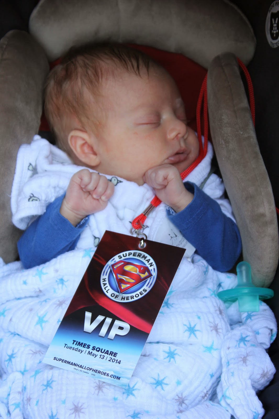 Little Rosey's Adventure