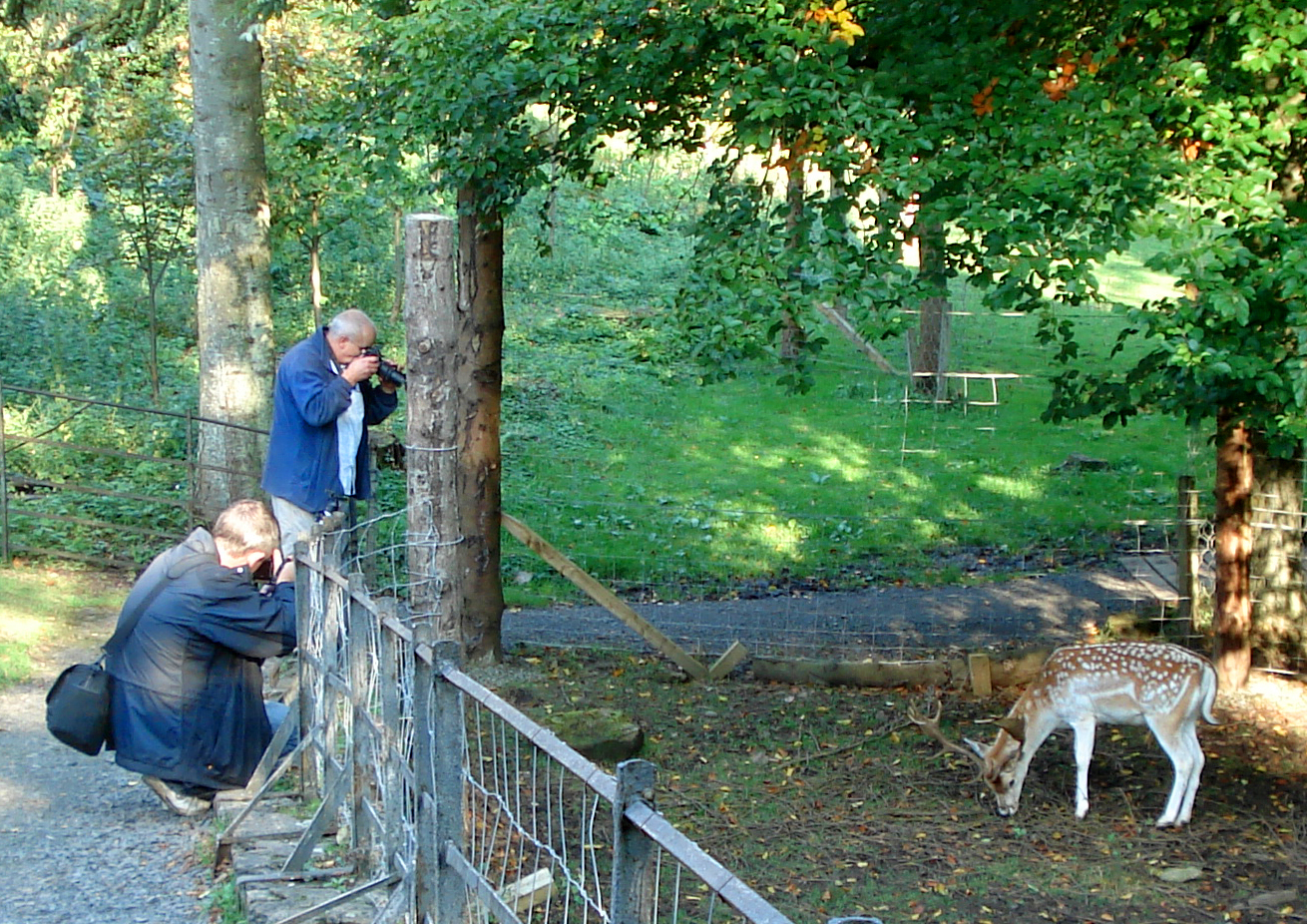 Around Kilmarnock: Dean Castle Country Park