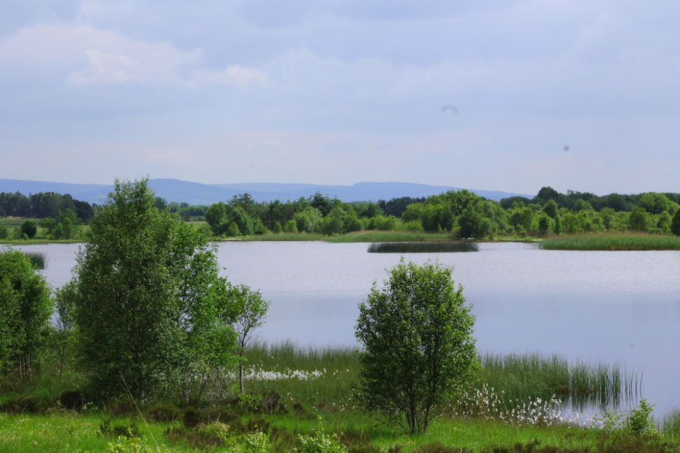 Lough Boora Discovery Park - Places to Visit - Purity Belle ...