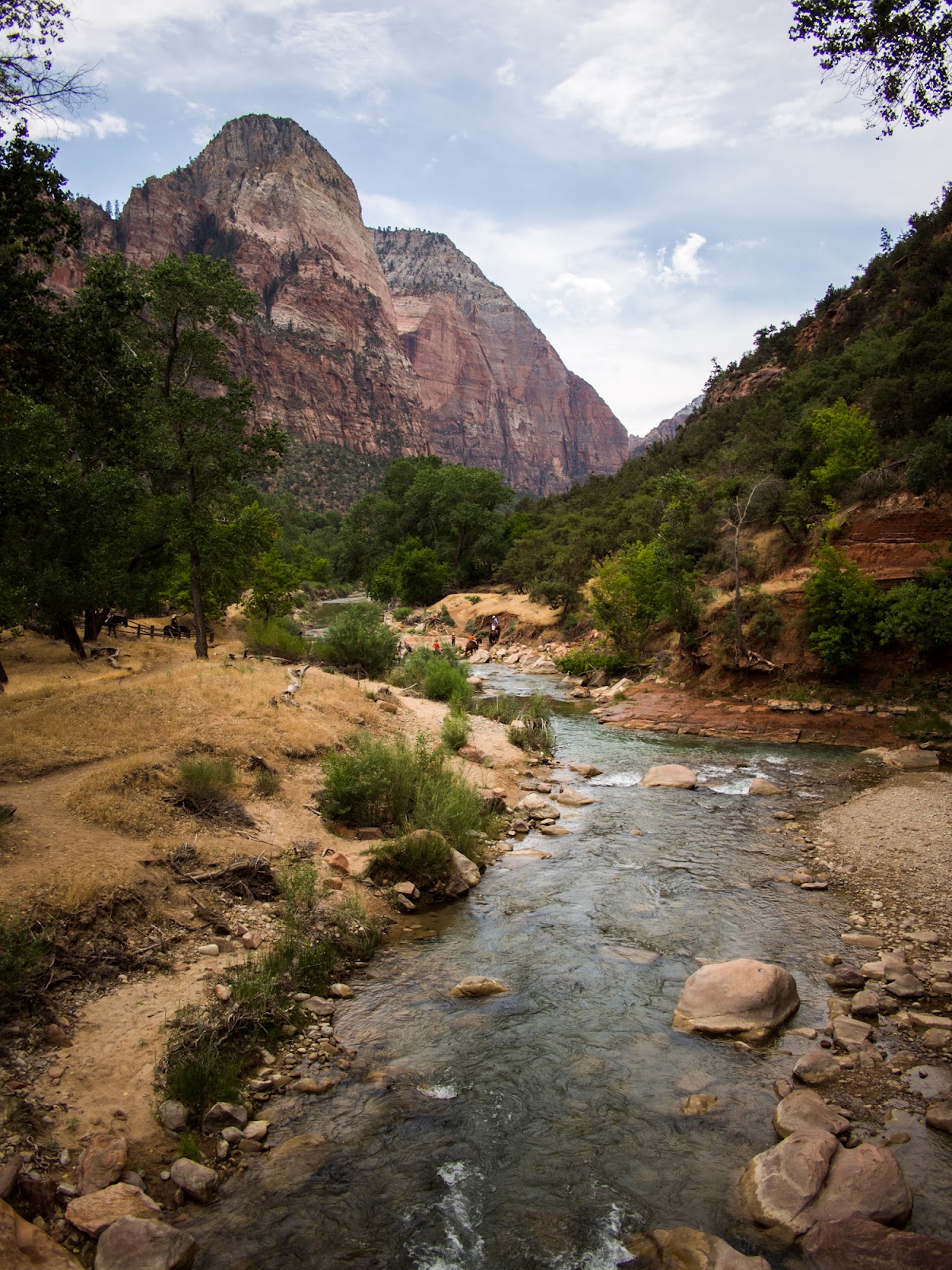 Virgin River, Zion National Park : r/pics