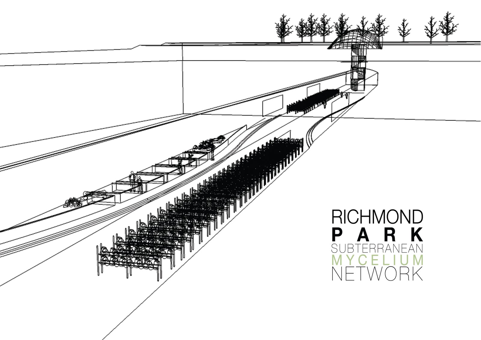 Alex Bailey Landscape Architecture
