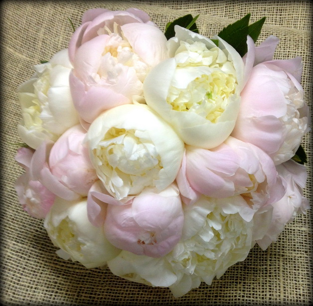 GREEK WEDDING FLOWERS : ΠΑΙΩΝΙΕΣ-PEONIES