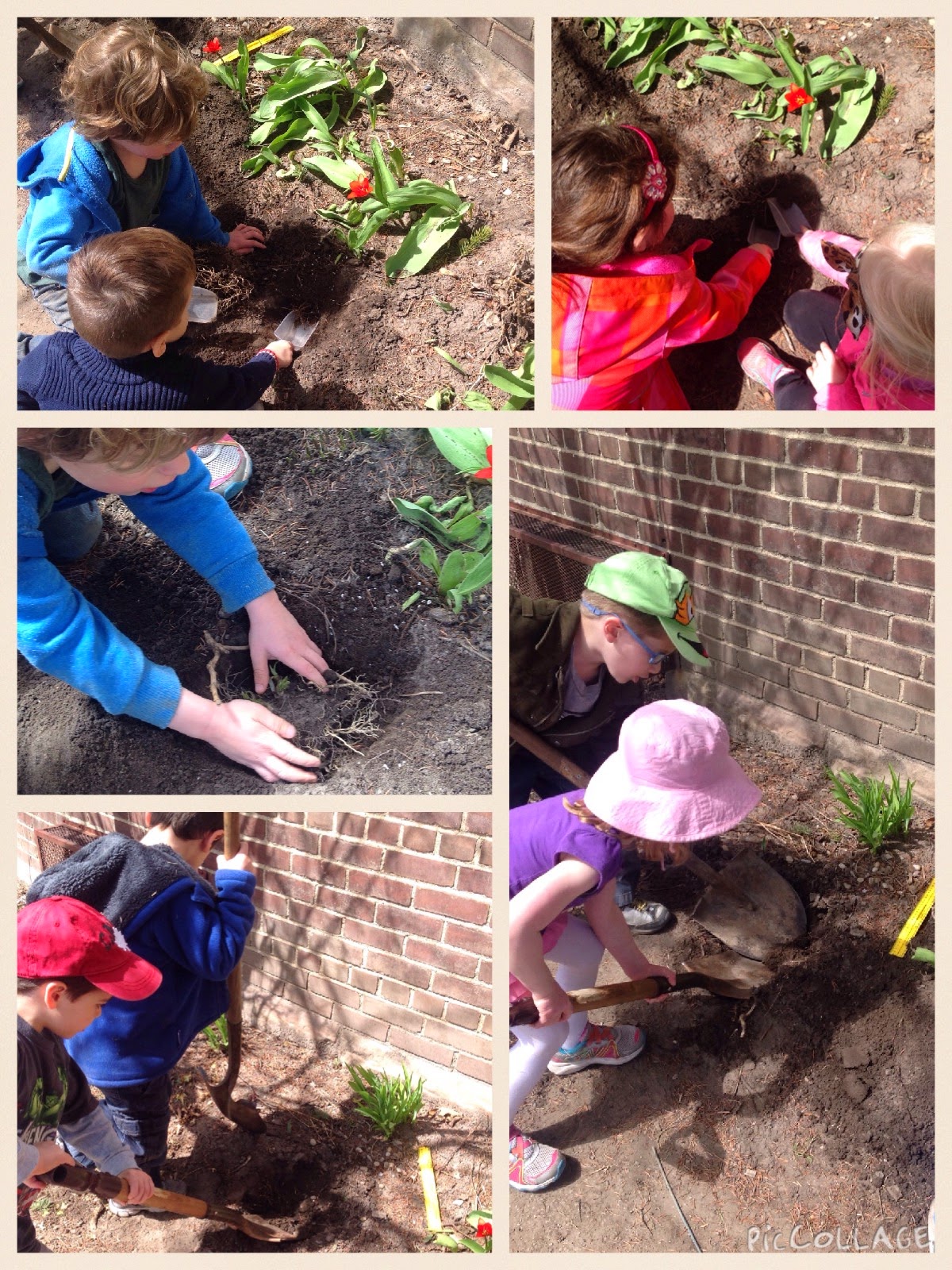 Wonders in Kindergarten: Building an earth caring classroom community
