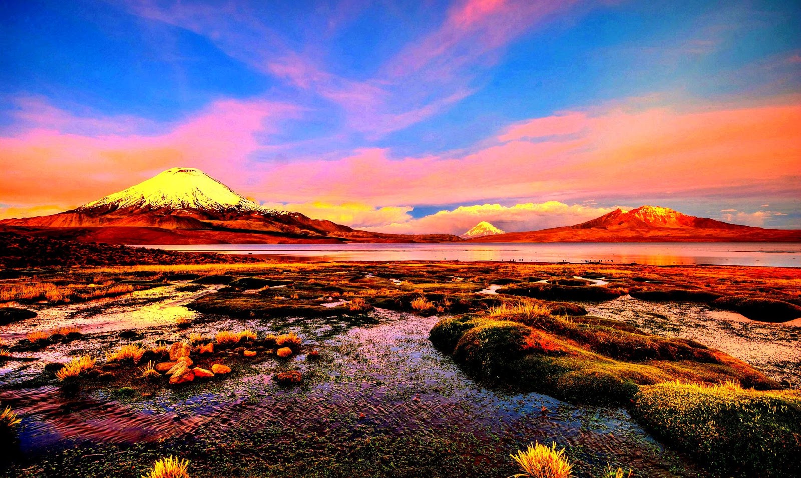 High Contrast Wallpapers