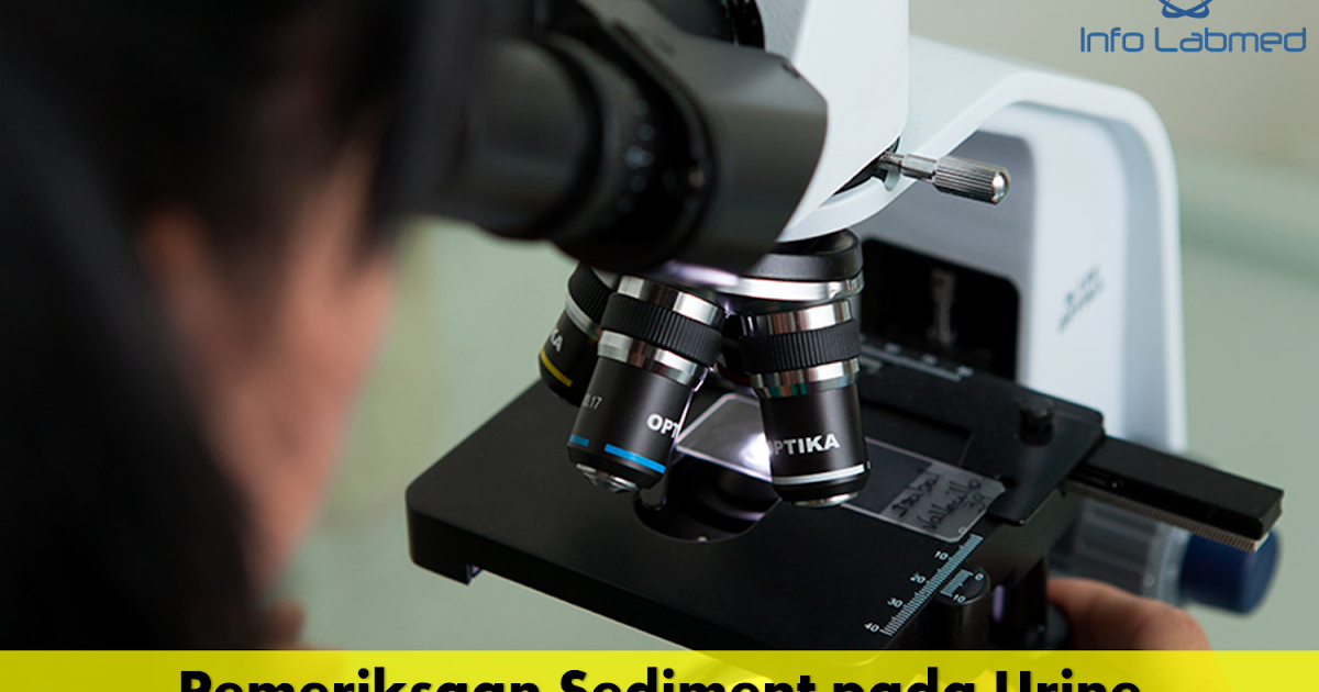 Pemeriksaan Sediment pada Urine (Mikroskopis) | Seri Edukasi Teknologi ...