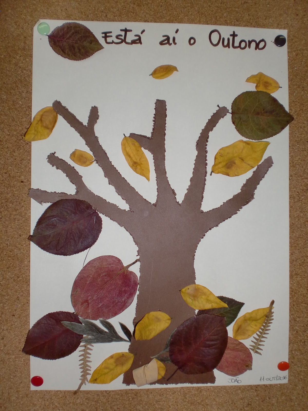 Atividade Sobre O Outono Para Educação Infantil - RETOEDU