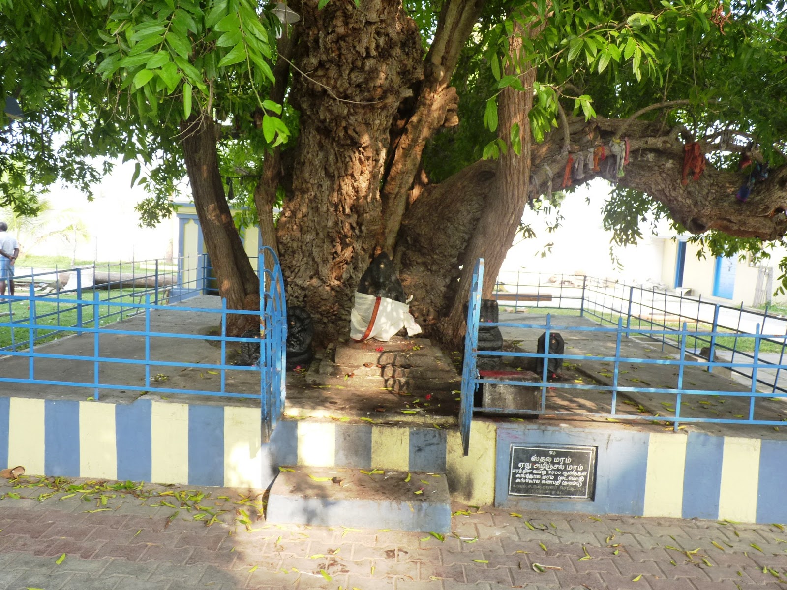 karpagavinayagar-thirunerimandram: Visit to Ponneri temples