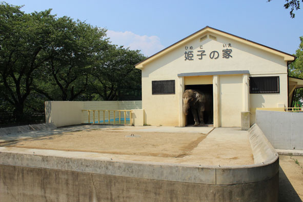 Zoos in Japan: Himeji City Zoo