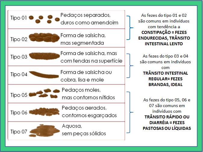 A Endometriose e Eu: "SAÚDE E BEM-ESTAR": O FORMATO E OS TIPOS DAS ...