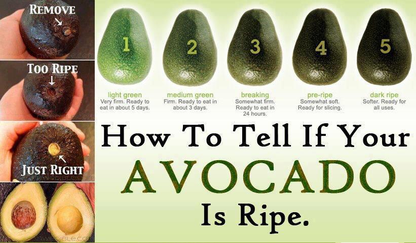 rainbowdiary: How To Tell If Your Avocado Is Ripe