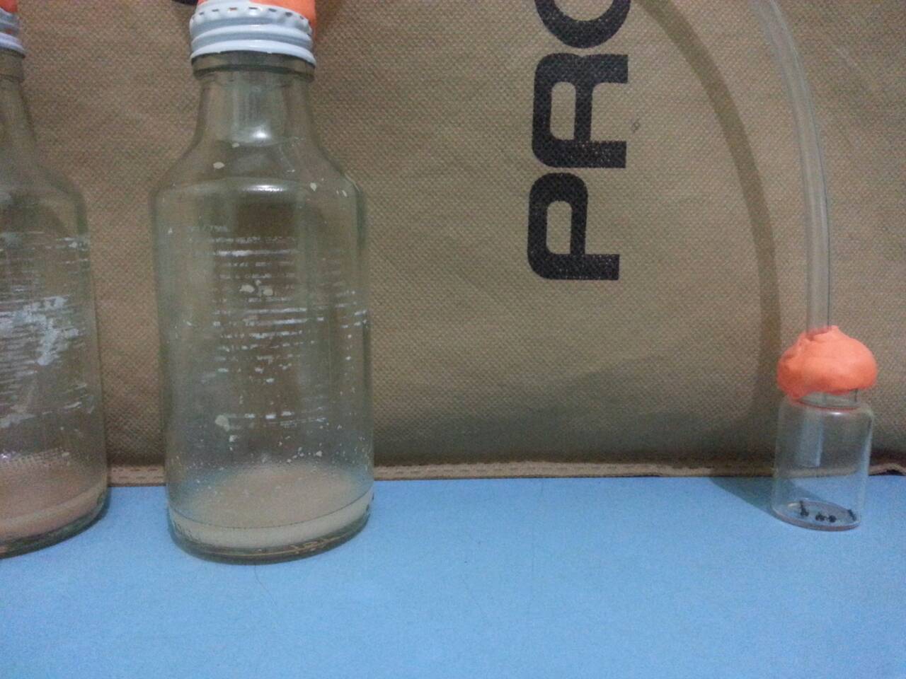 PRAKTIKUM FAKTOR LAJU REAKSI (ENZIM SEBAGAI BIOKATALIS) DALAM REAKSI ...