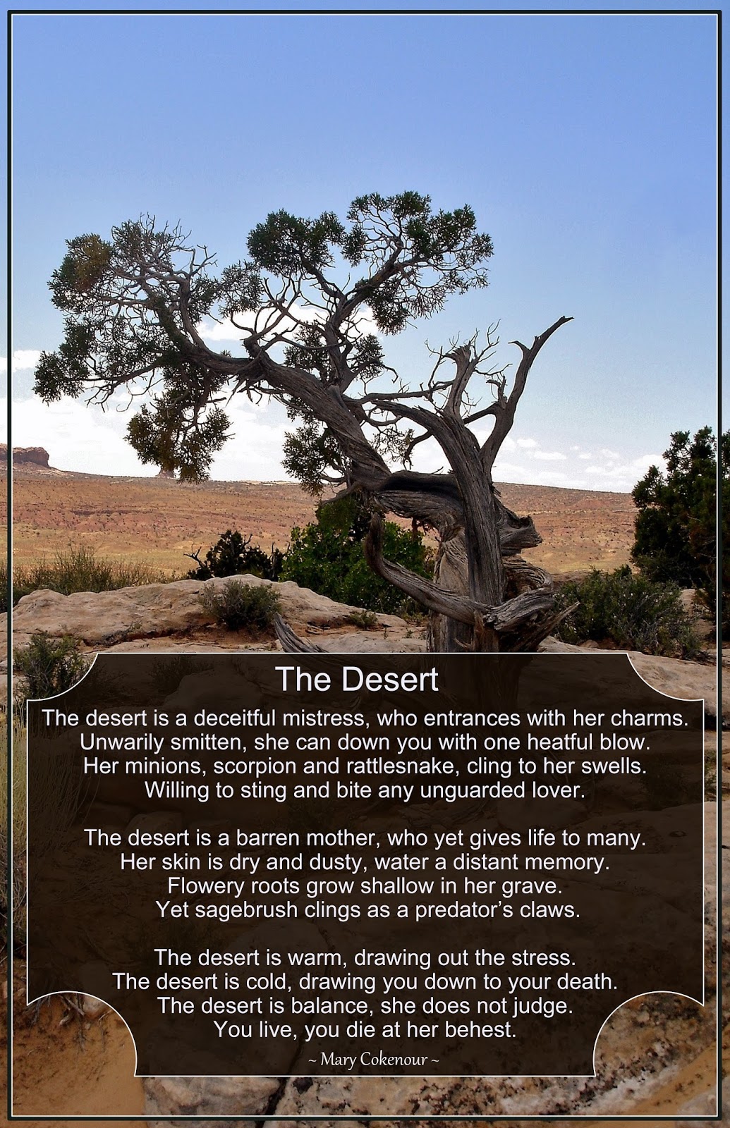 The Southwest Through Wide Brown Eyes: My Southwestern Poetry with Photos.