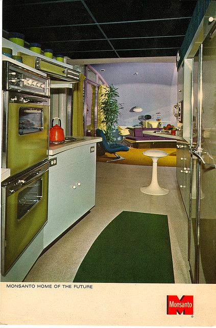 Disney Avenue: Living in the Monsanto House of the Future