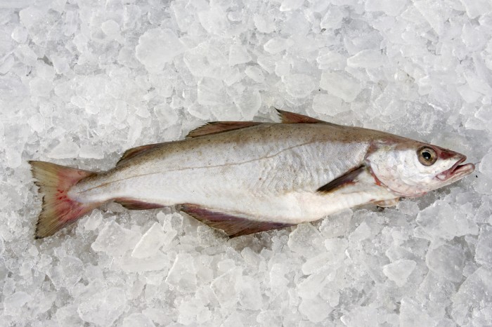 Nigerian Dishes: NIGERIAN DISHES: COMMON TYPES OF DELICIOUS FISHES IN ...