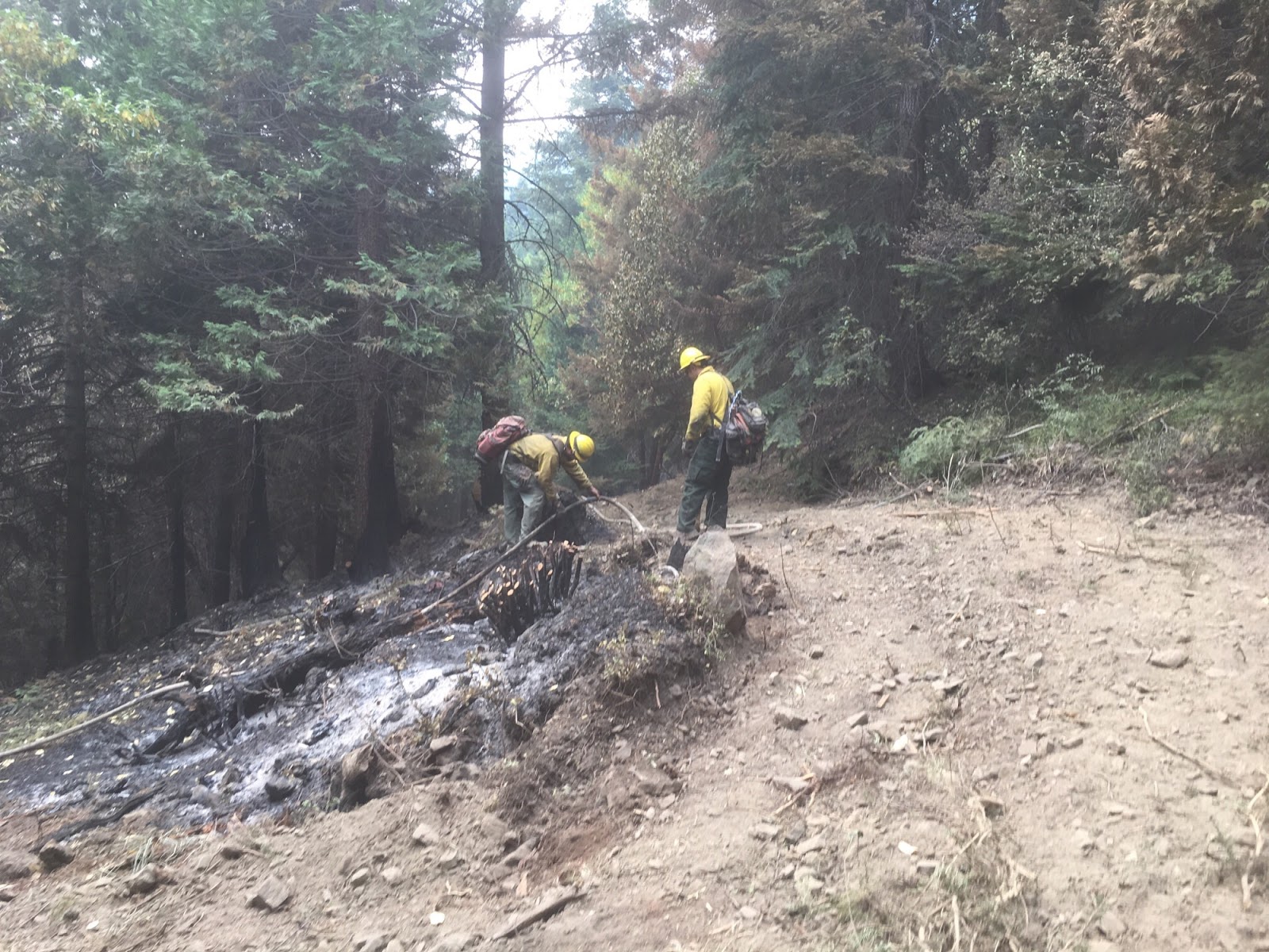 Pennsylvania Forest Fire Protection: 2018