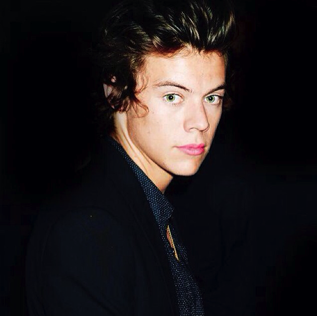 Life With Hannah: Foxy Friday: Harry Styles