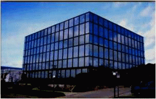 PT.MSS: PROFIL PT. MSS