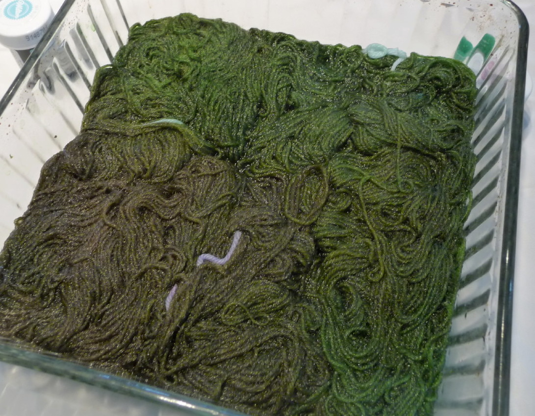 The Birds and the Beads: Kool Aid: It's Not Just for Kids!!!