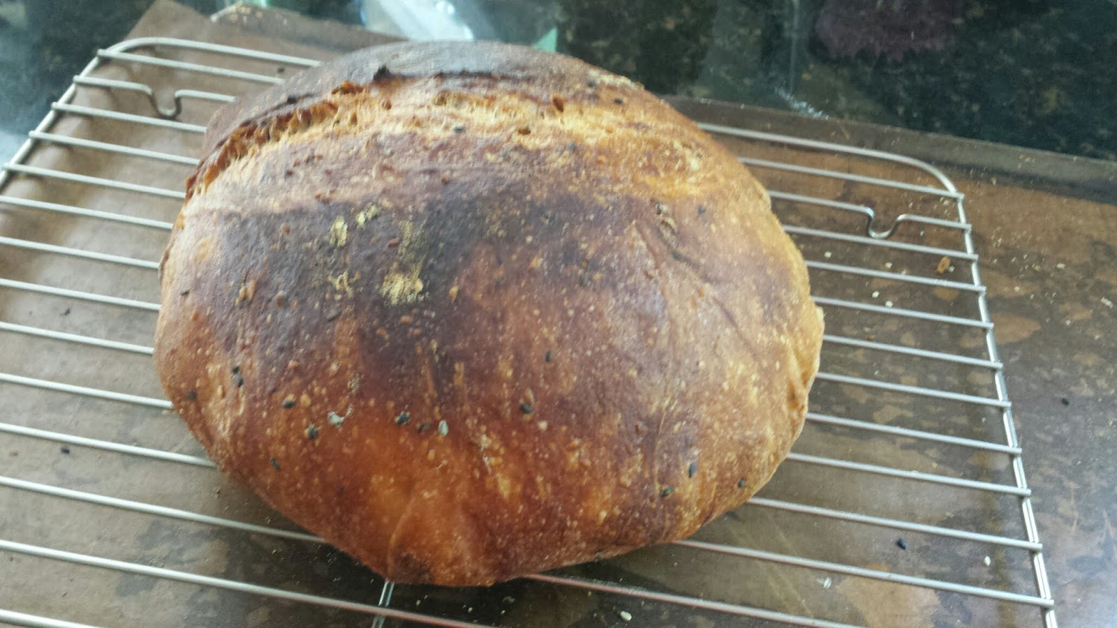 Judy's Gross Eats: Novel Food #33 (summer edition): Bread