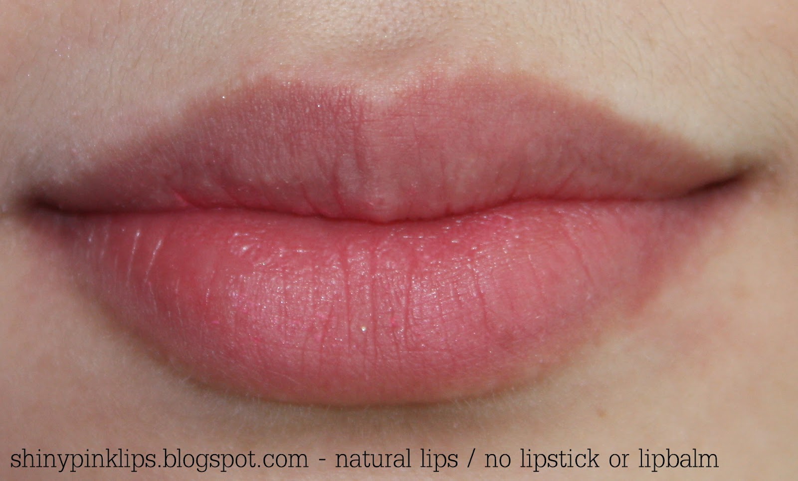 The Blog of Blah Blah by shinypinklips: My Lipstick Collection - Swatches