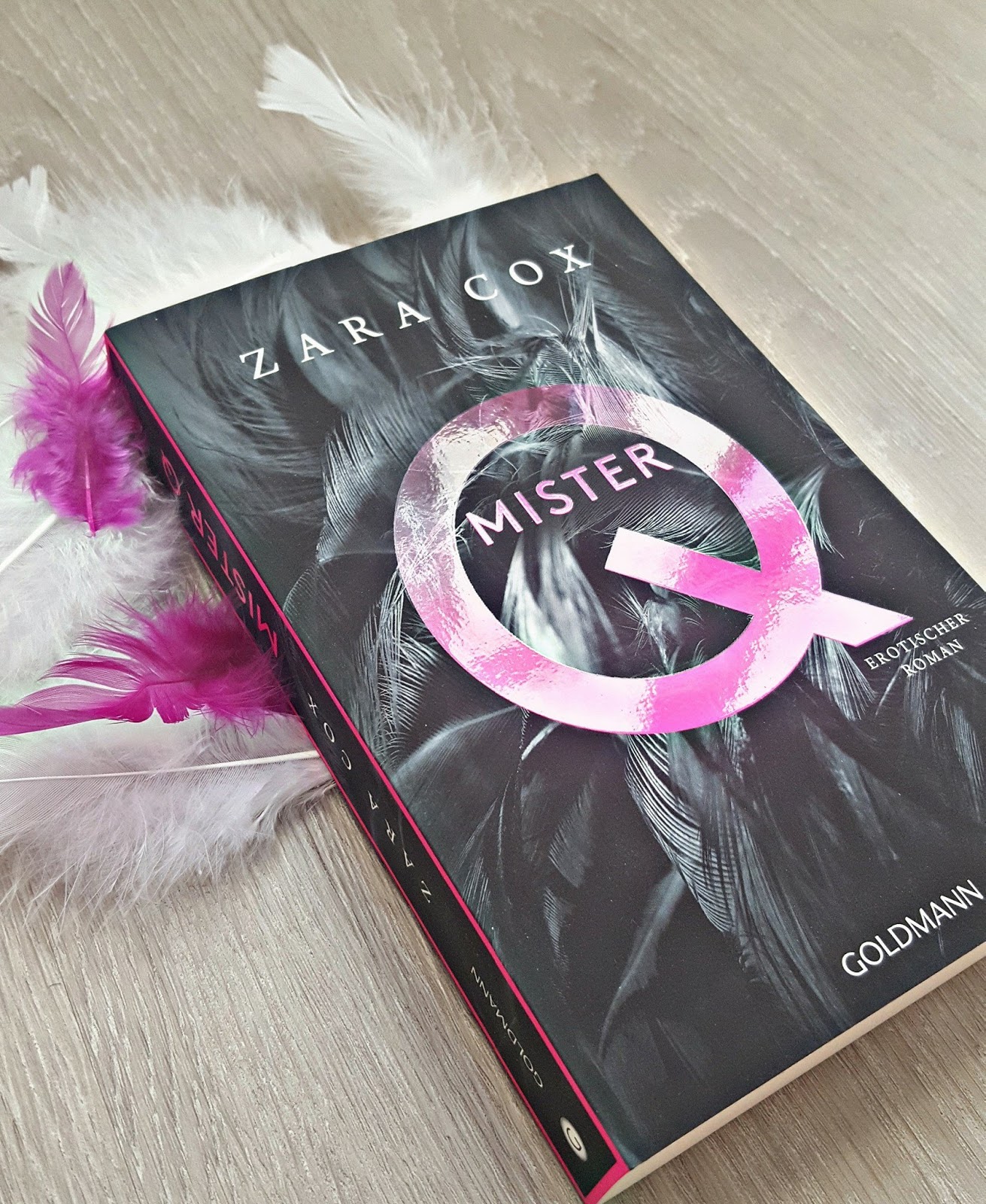 Rezension zu Mister Q - StAnni's Livingbooks