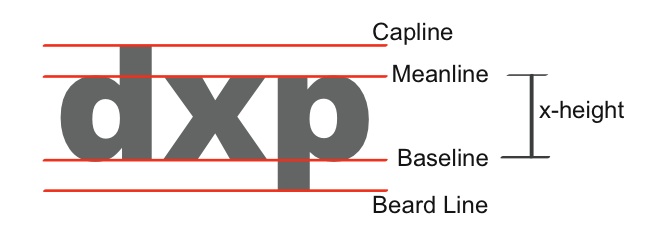 Typography - Denise F