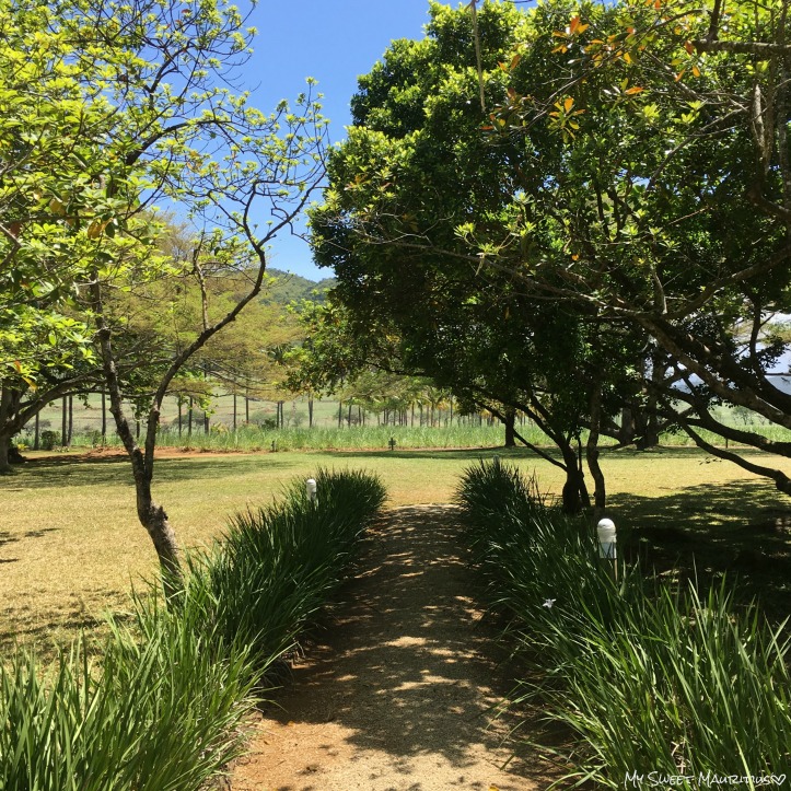 My Sweet Mauritius: DEJEUNER A FALAISE ROUGE