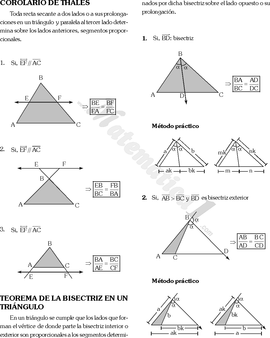 Proporcionalidad De Segmentos Y El Teorema De Thales Ejercicios
