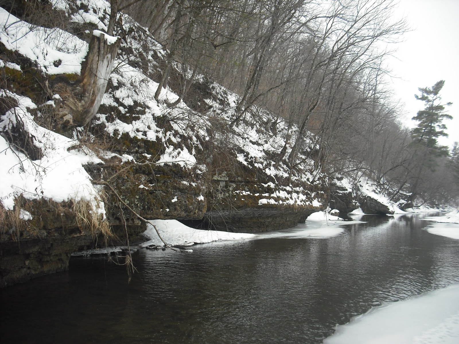 Way of the Buffalo: Algific Talus Slope