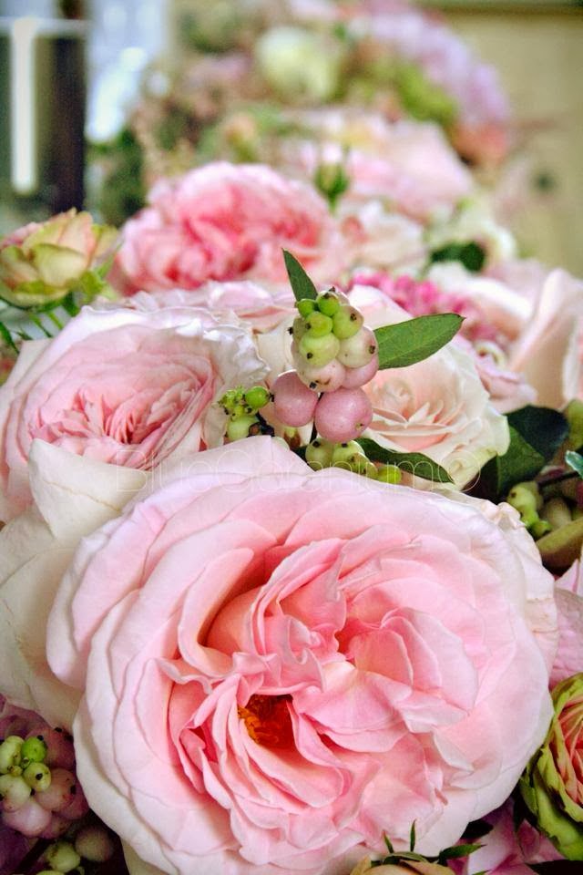 Blue Geranium Flower Press