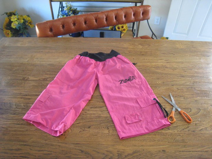 Love 2 Sew 4 Fun - Newbie at Sewing with My Singer Featherweight: Zumba ...