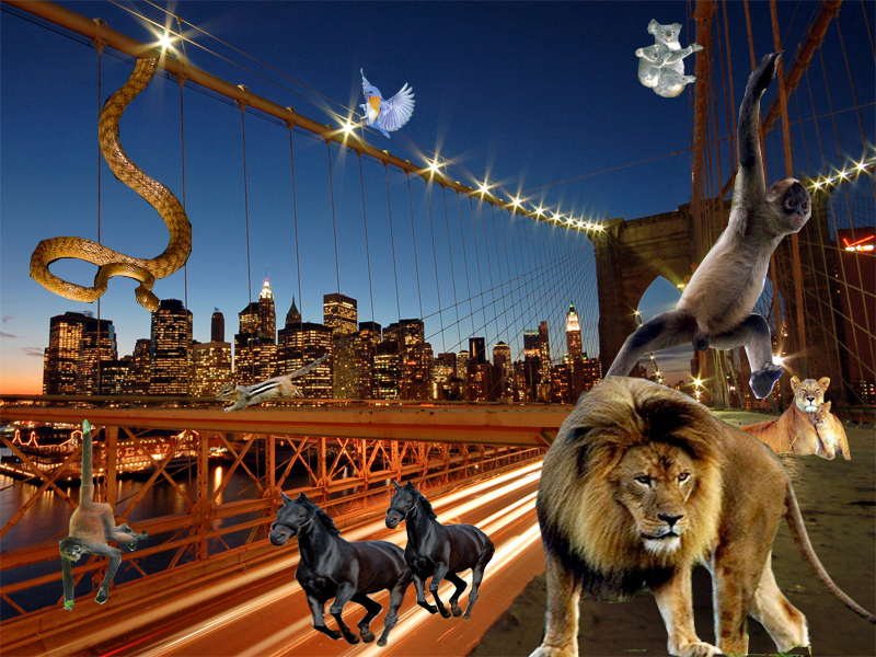 Neriah's Perspective of Art: Narrative Digital Collage