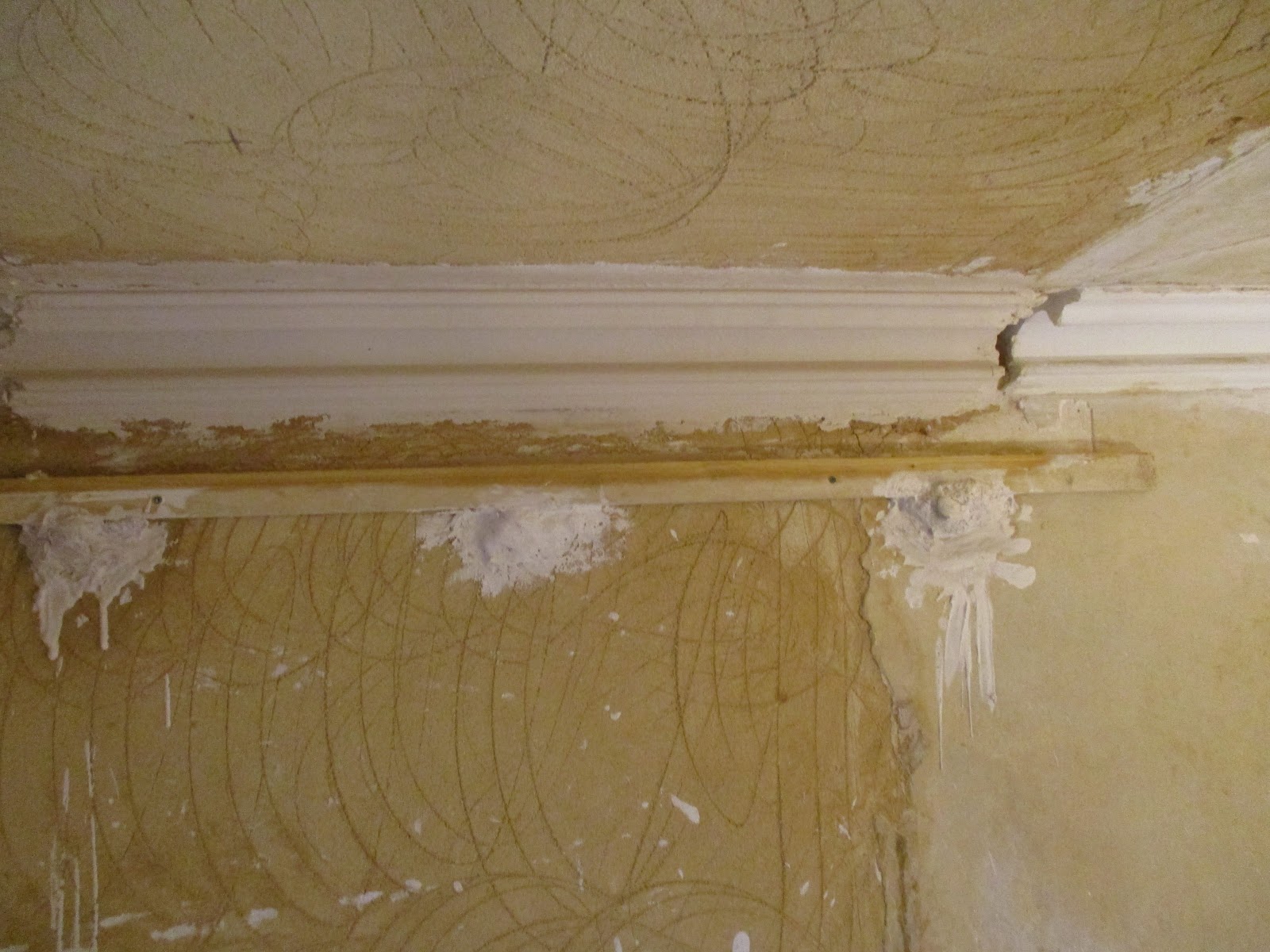 Phil Bailey Heritage Plastering: Running repairs: in situ plaster moulding