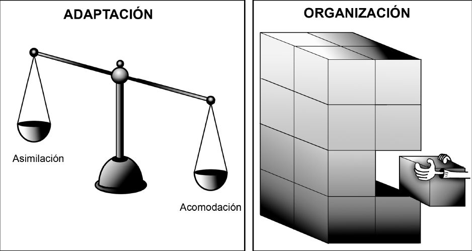 Perspectivas de la infancia IES Recreo: TEORÍA COGNITIVO-EVOLUTIVA DE ...