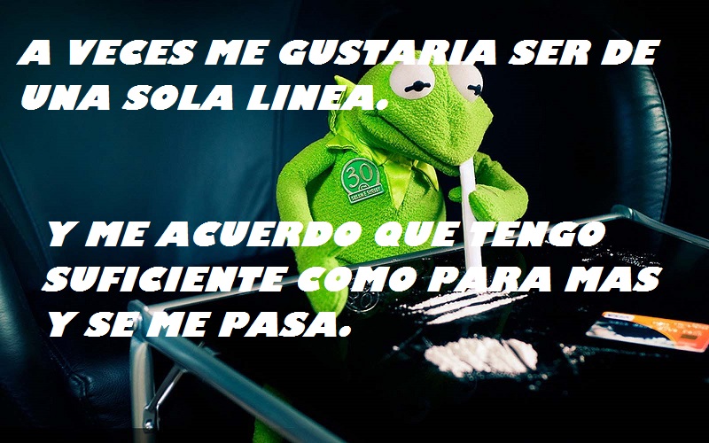 DE TODO UN POCO.: RANA RENE