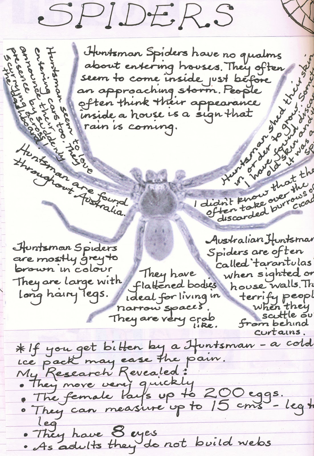 Assisting Student Writers to Make Best Use of Their Notebooks