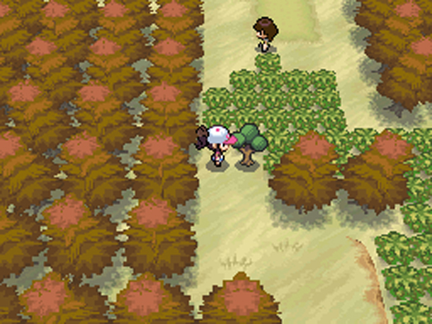 Cinema Won: The Undefined Gamer: "Pokemon: Black 2/White 2" Review