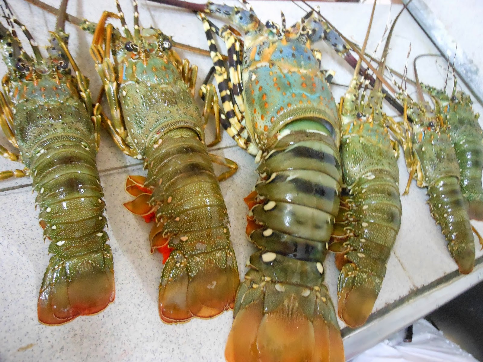 kg kota to brunei: 5 1/2 years later.... Fish Market Story