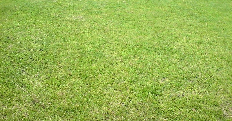 Aboukam Photoblog: : Belle gason au pays