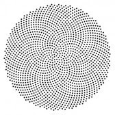 Escala de Fibonacci – Medicina Orto-Regenerativa