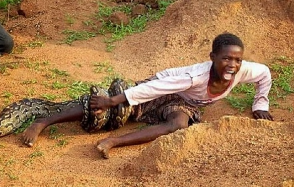 Anaconda VS Human | Anaconda contra Humano ~ Campost Today